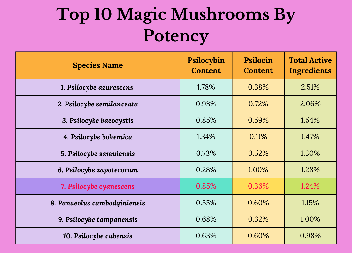 The Dark Truth About Wavy Cap Mushrooms (Psilocybe cyanescens)