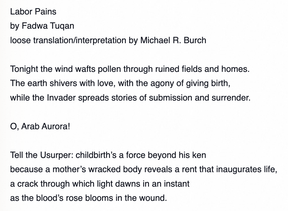 three palestinian poets i adore - by tunmise adebowale