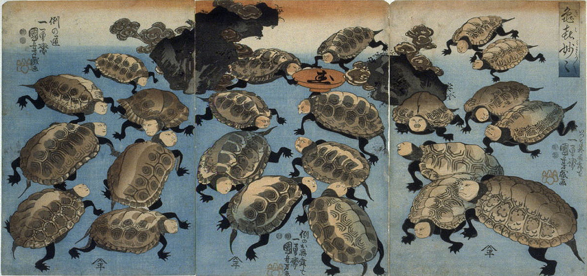 Turtles in Japanese Folklore and Culture