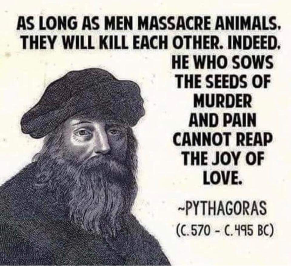 Is Eating Meat Moral? - Classical Wisdom