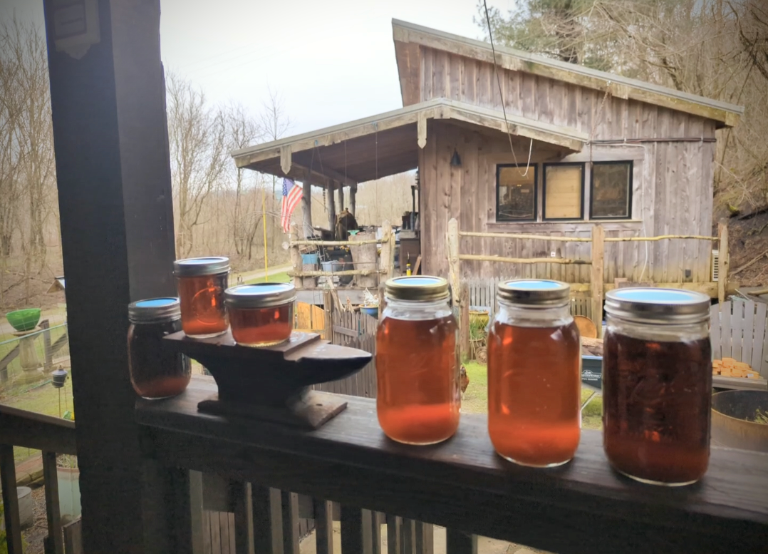 Drinking From Trees - by Rachel Sager
