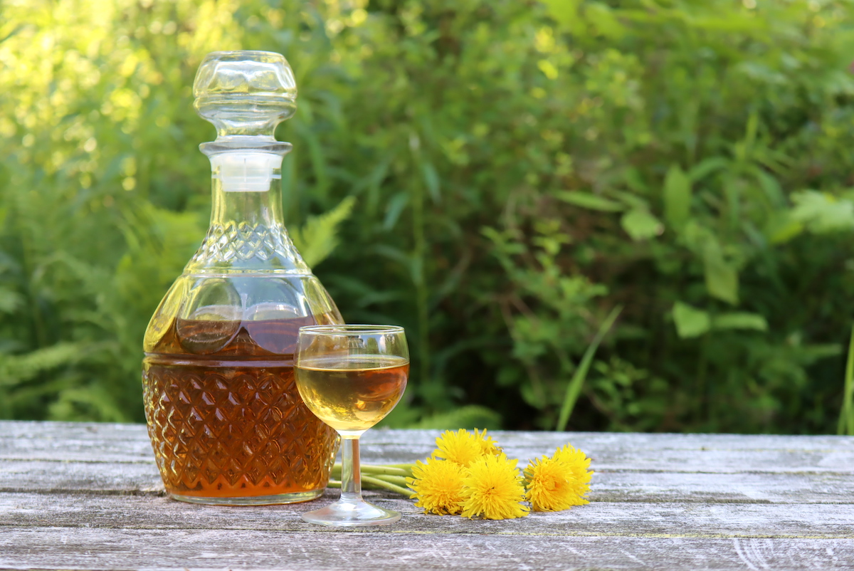 Dandelion Recipes & Remedies - by Ashley Adamant