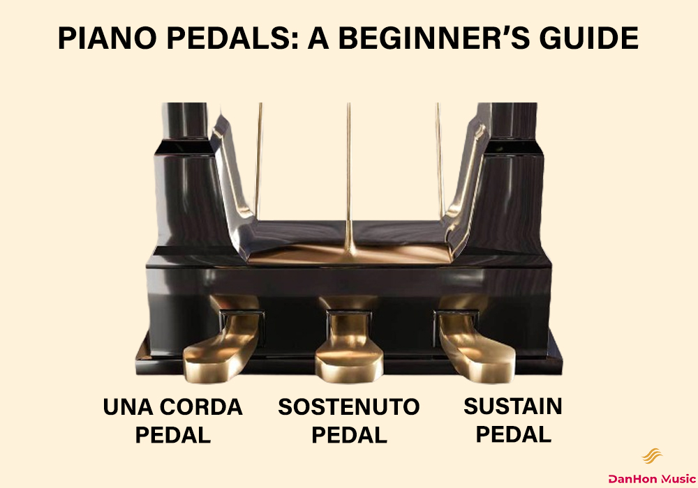 Piano Pedals: Their Function, How They Work & Their Importance