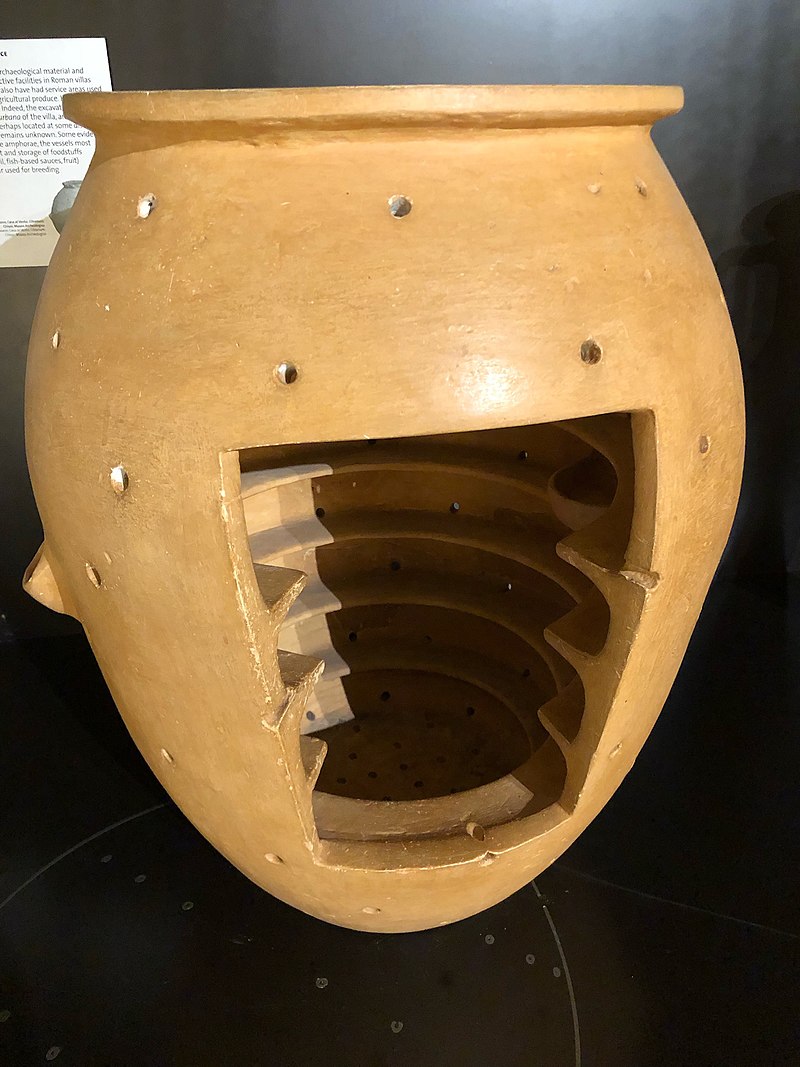 Ten Bizarre, Weird Foods of Ancient Rome - by Crystal King