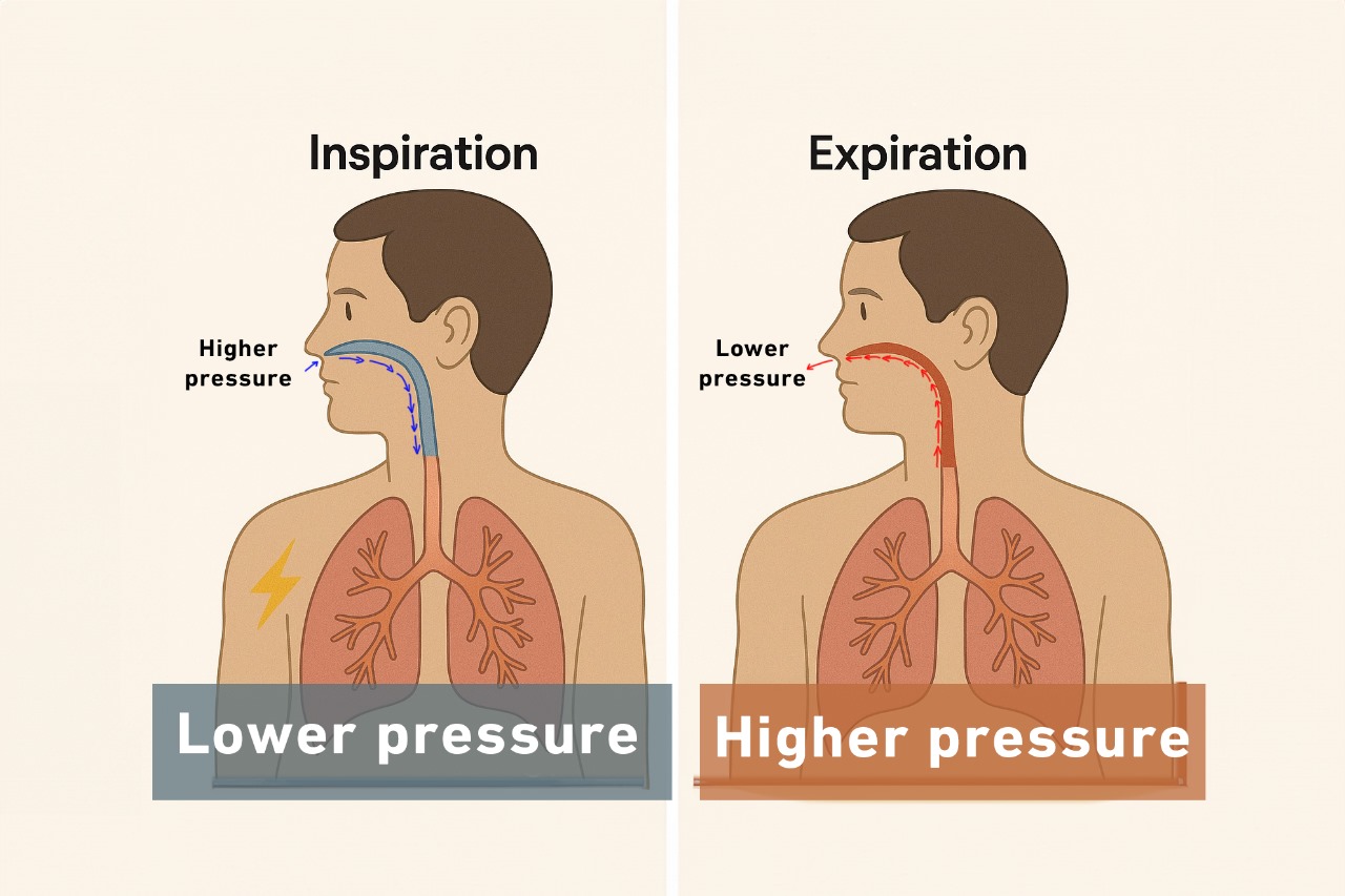 Mechanical Ventilation Made Simple: 9 Concepts Every Non-ICU Doc Should ...