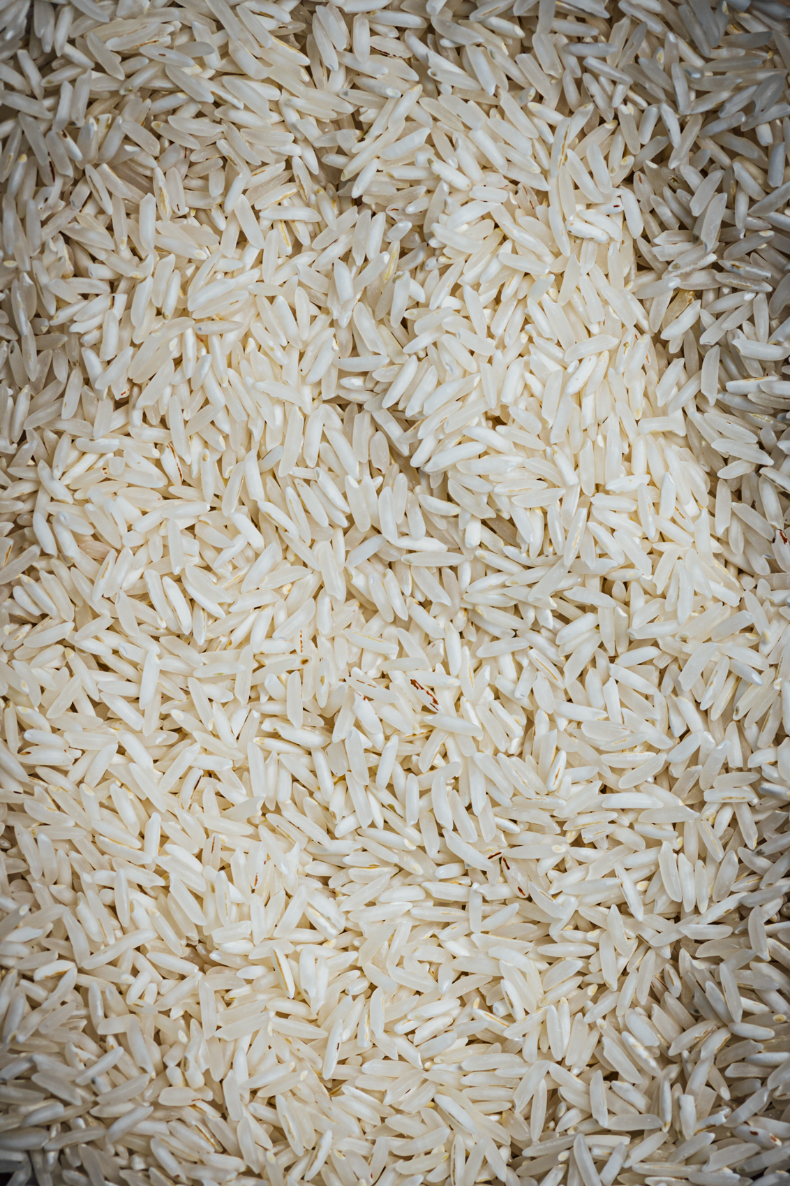 What is Basmati Rice and How to Cook it? - by Nik Sharma