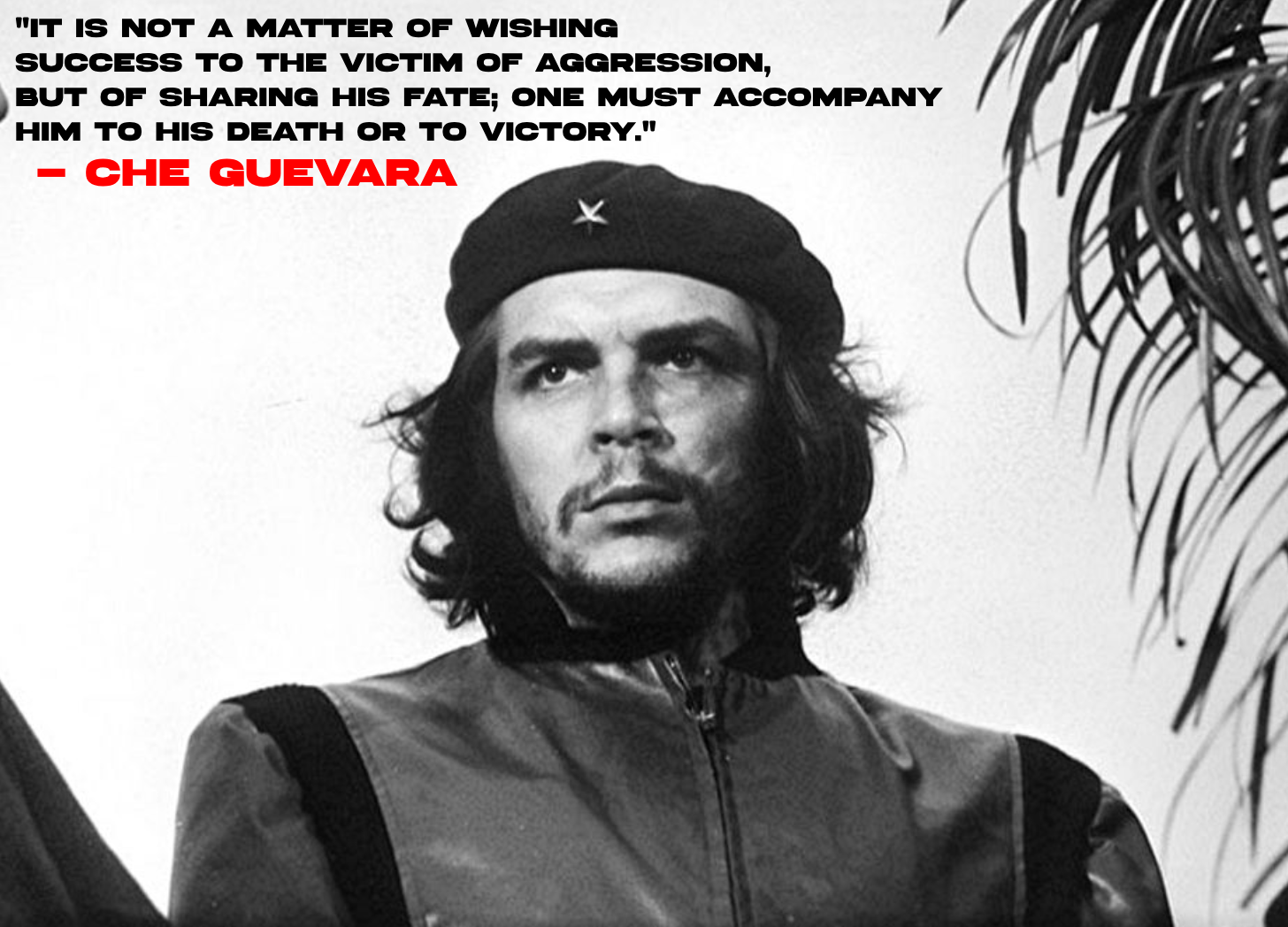 Che Guevara's Foco Theory Explained - by BlackClaude