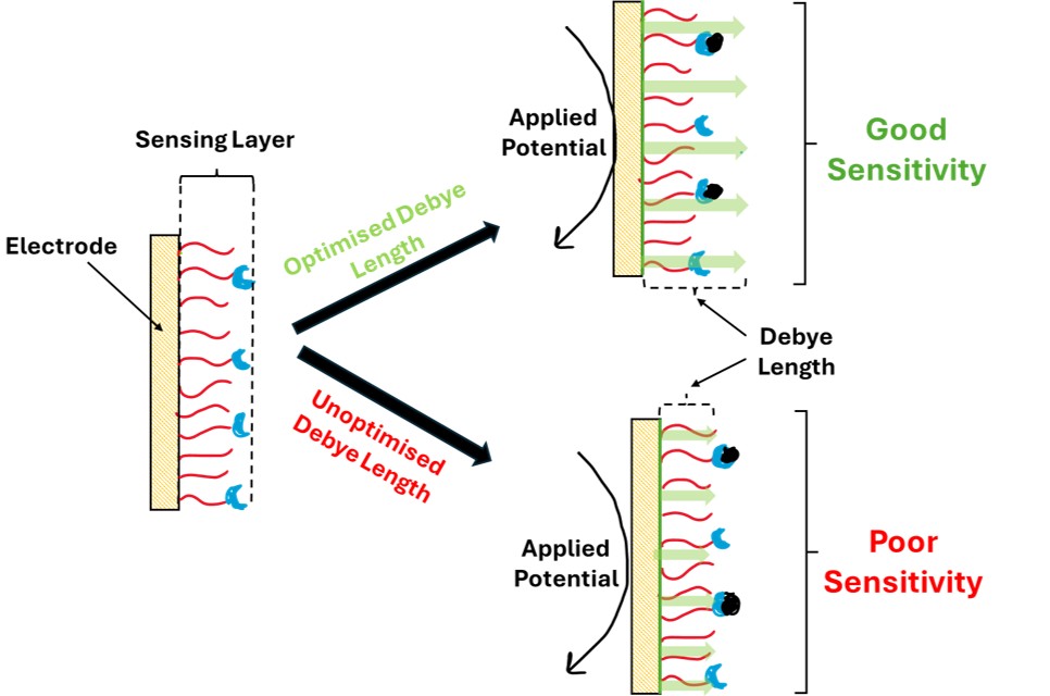 What is the Debye Length - by Daniel Carroll
