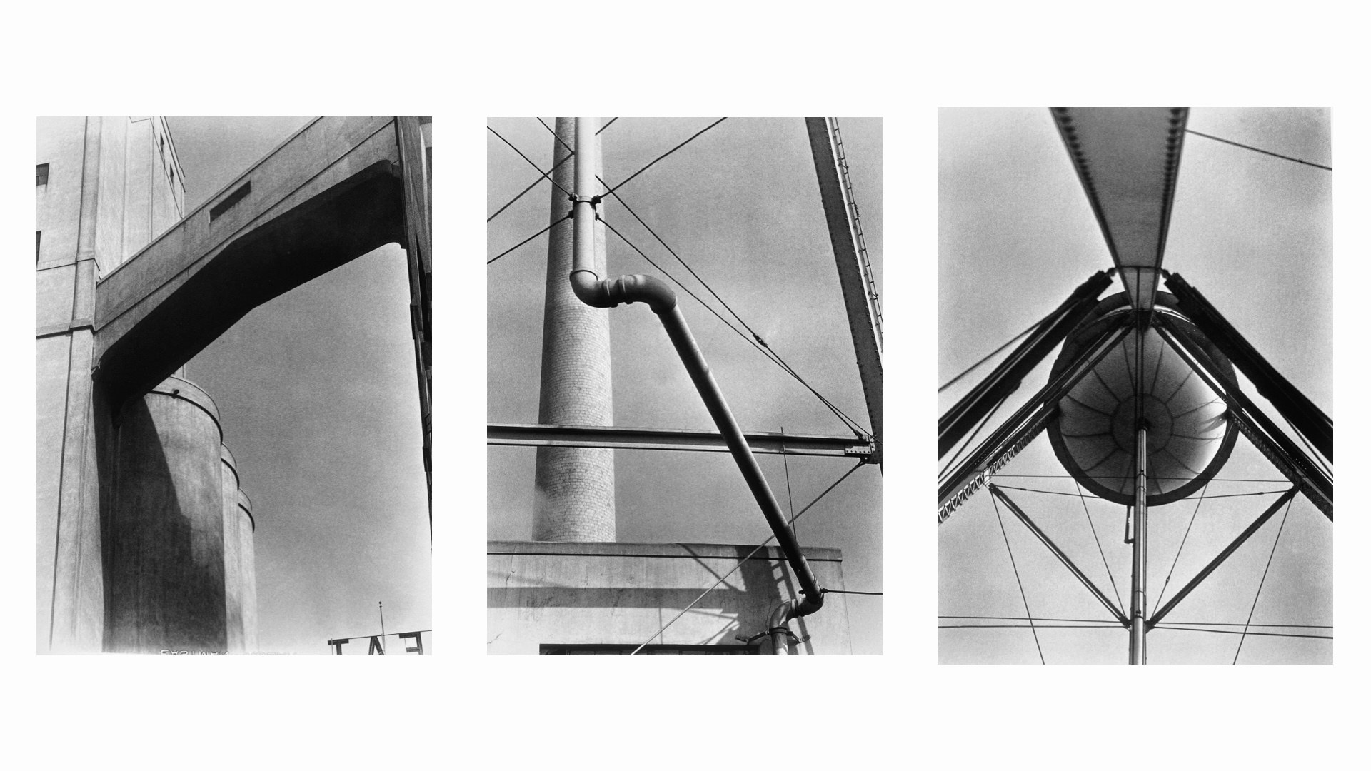 Imogen Cunningham - by Susanne Helmert - My Morning Muse