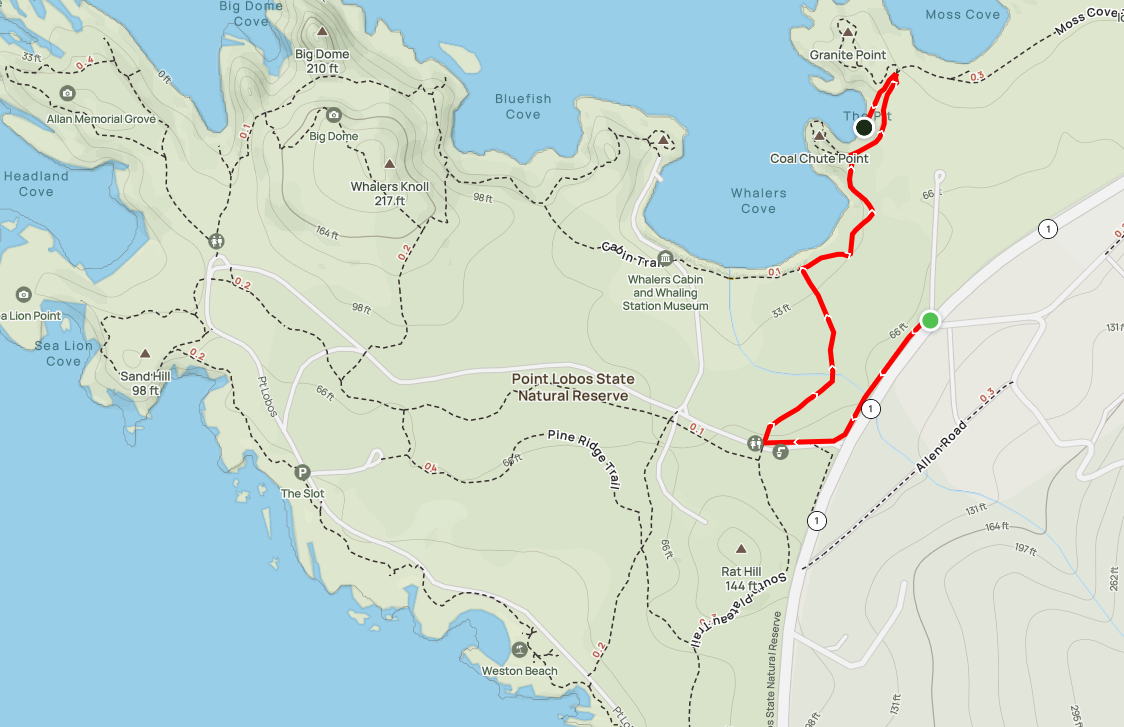 The Secret Sea Cave Hidden in the Crown Jewel of California's Coastline