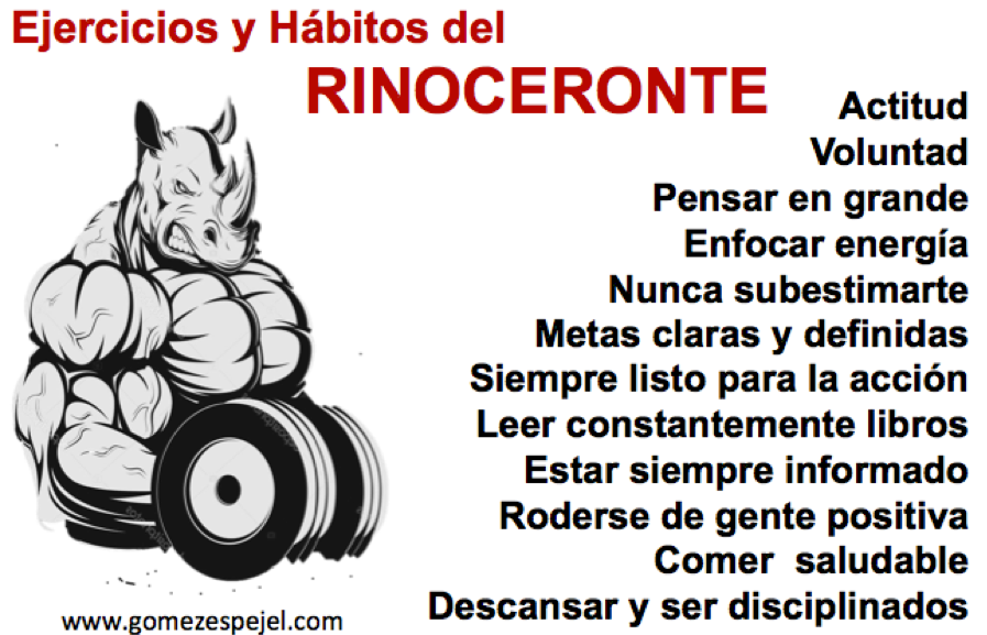 Resumen del libro El Rinoceronte - by Jesús Gómez Espejel