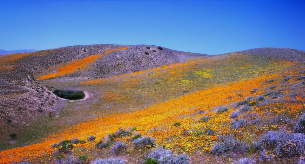 A Drive Through Tejon Pass is a Journey Through Time, Terrain, and ...
