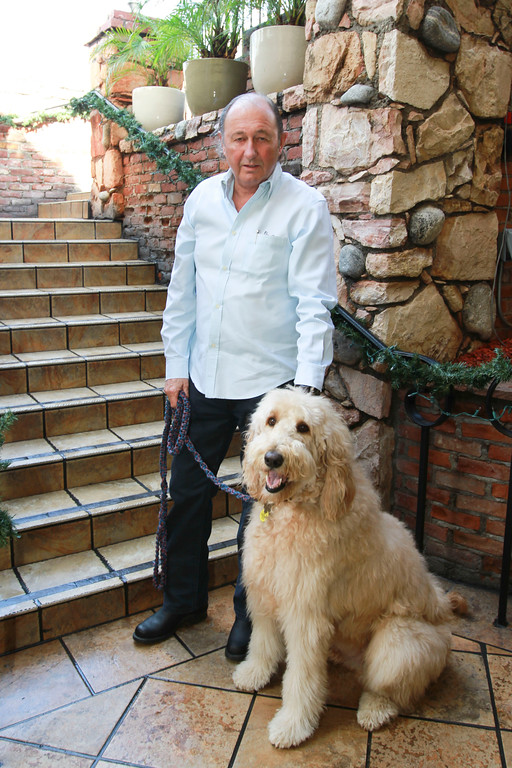 What led to the sudden closure of Bodega and Skyloft