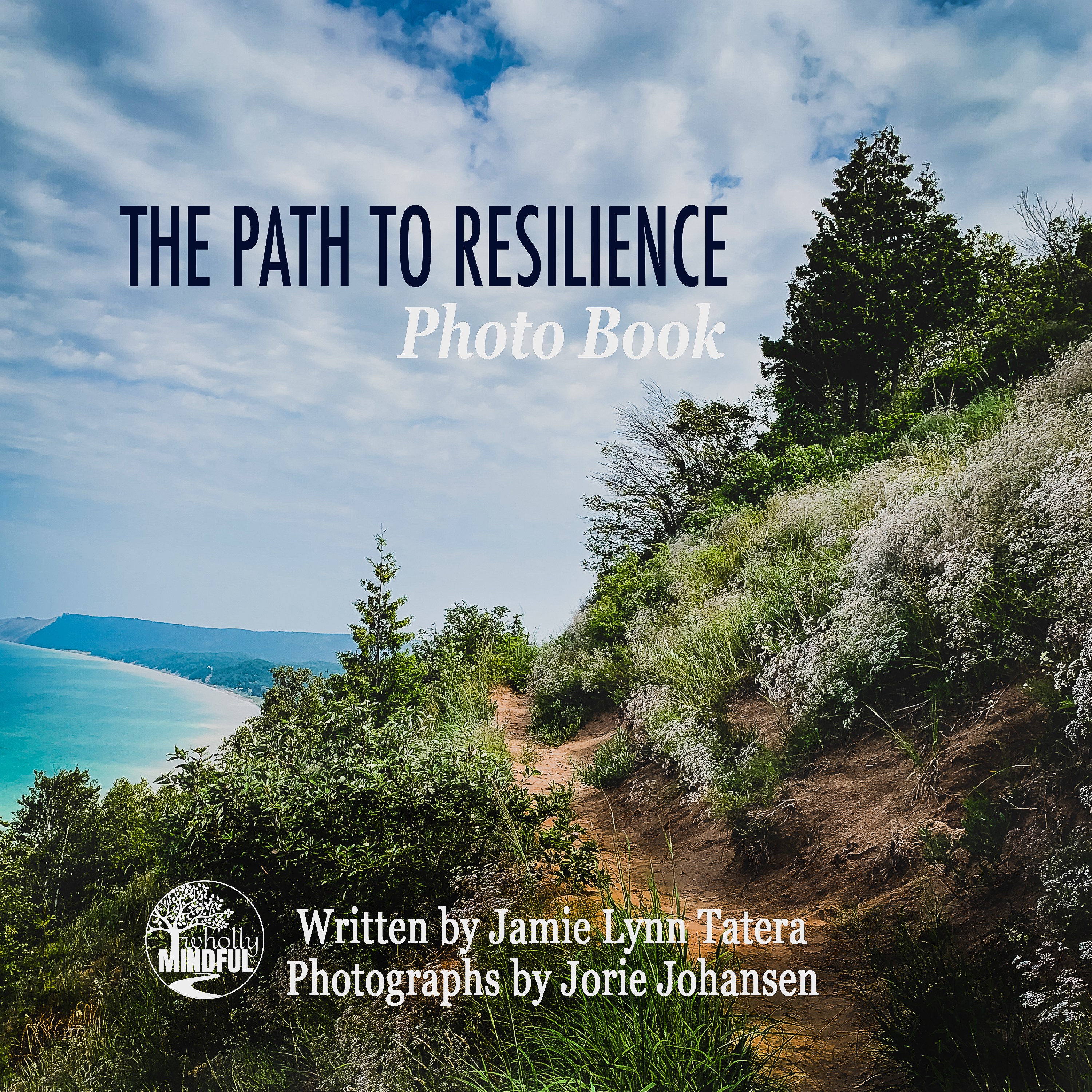 The Path to Resilience - Jamie Lynn Tatera