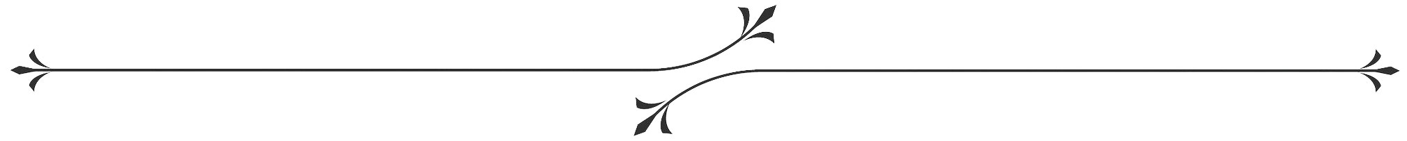 MAGA’s Blueprint for Domestic Division