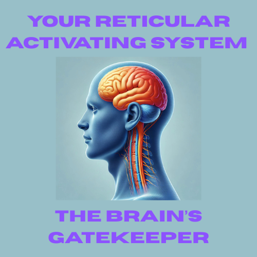 RAS - Your Brain’s Gatekeeper