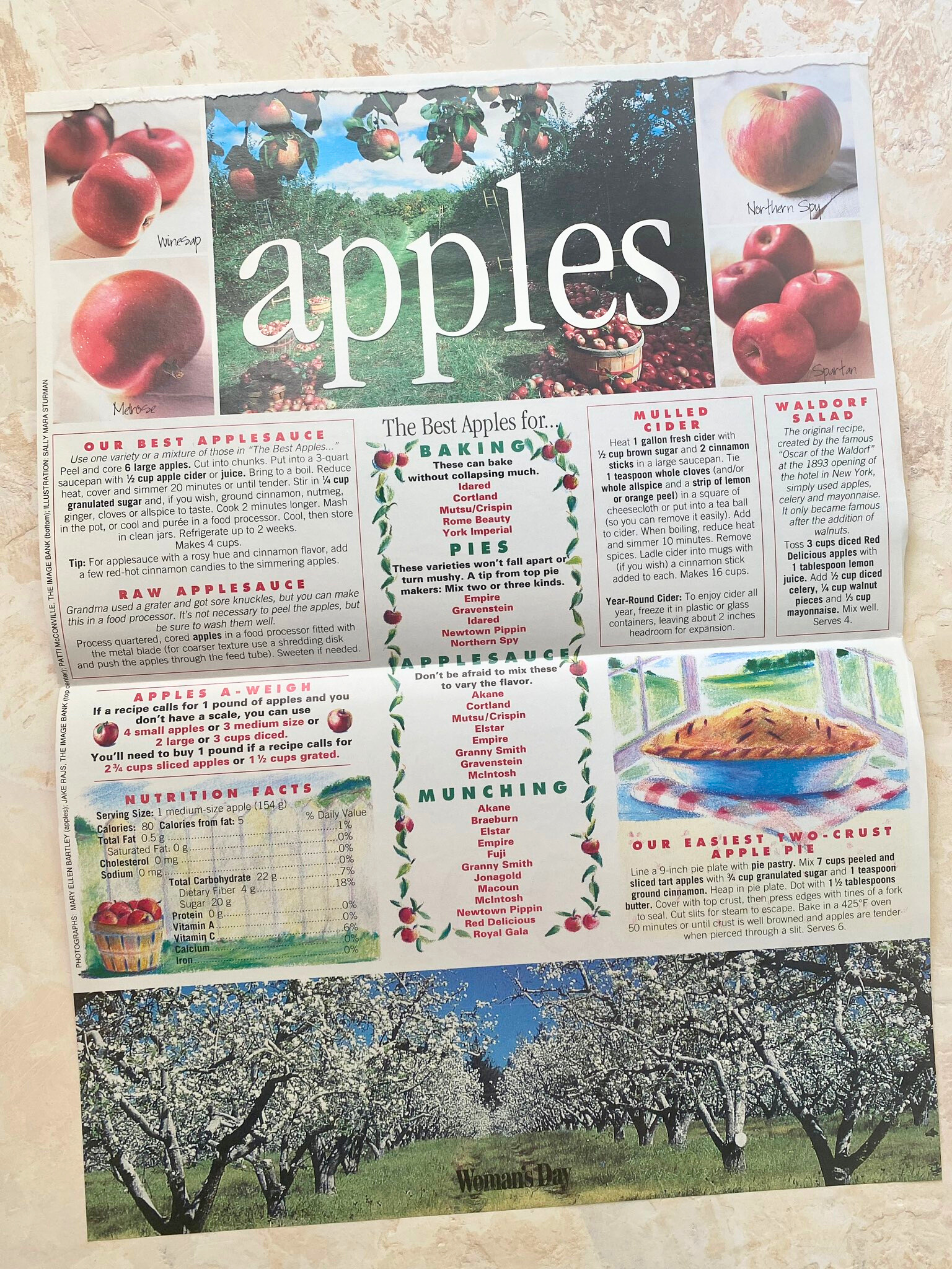 The Lost Orchard: Books on Apples - by Jesse 𓆸