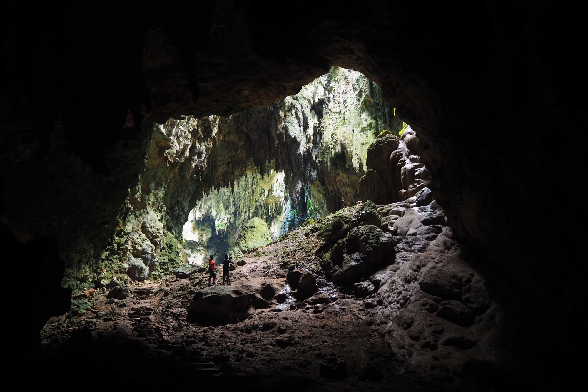 New insights into the biology of Homo luzonensis