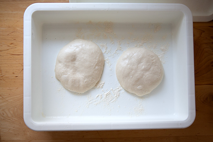 Pizza Dough Storage Vessels: The 3 Types You Need