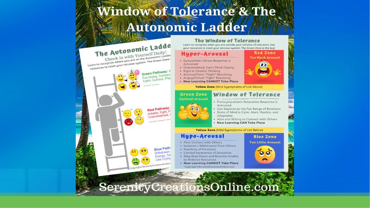 Part 13: Window of Tolerance & the Autonomic Ladder