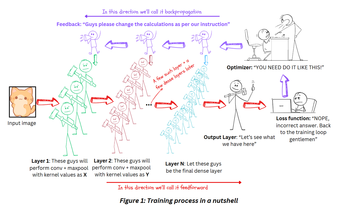 Everything you need to know about CNNs Part 8: Intuitively Interpreting ...