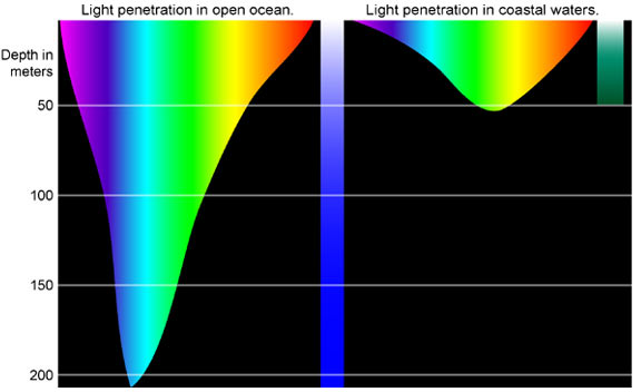 Why is the ocean blue? - by Kevin Okun - Science of Surfing