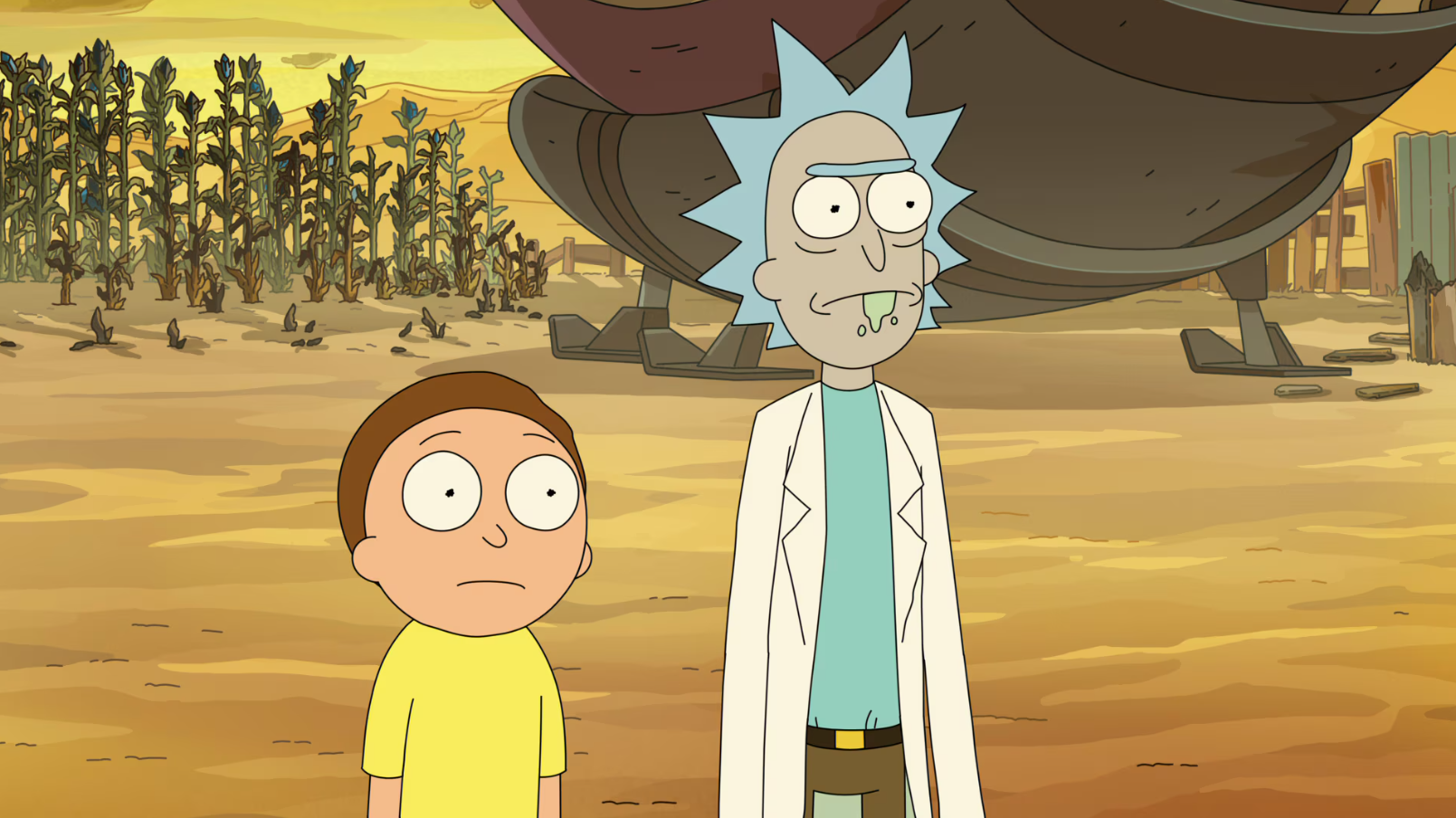 Review: Rick and Morty, "The Rick, The Mort & The Ugly" | Season 8 ...