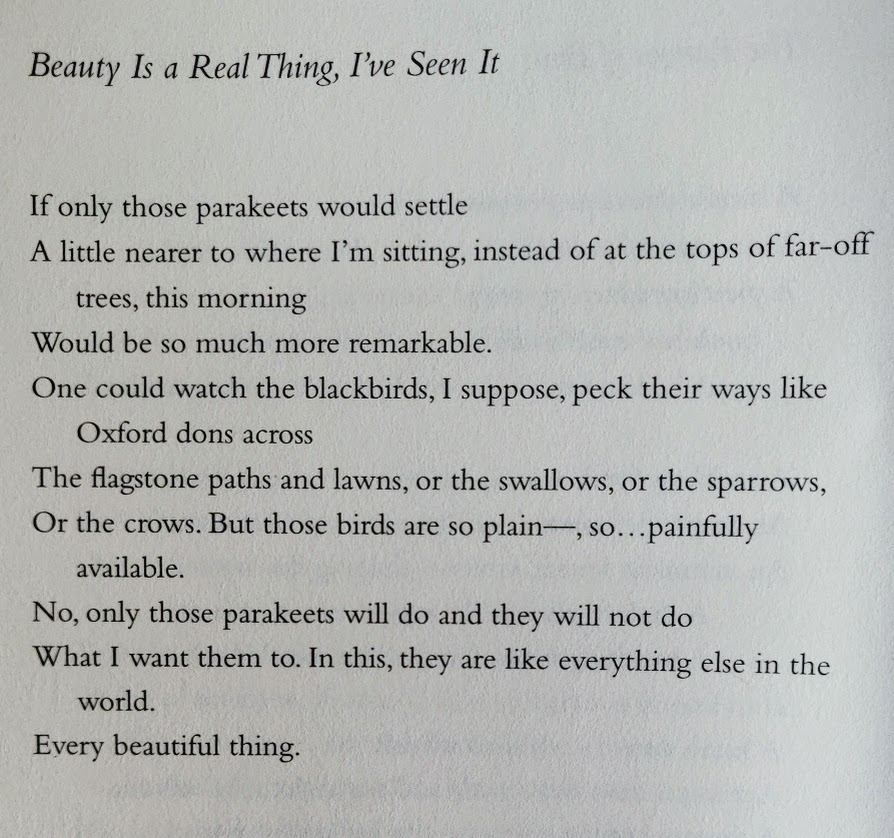 9 Poems for People Who Don't Like Poetry - by Sarah Allen
