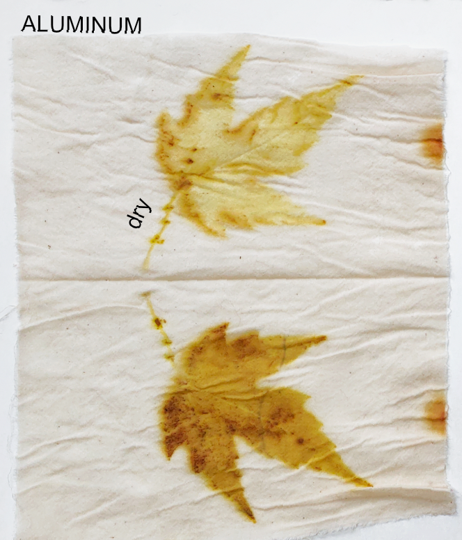 Printing with leaves - by Ania Grzeszek - Kaliko Journal