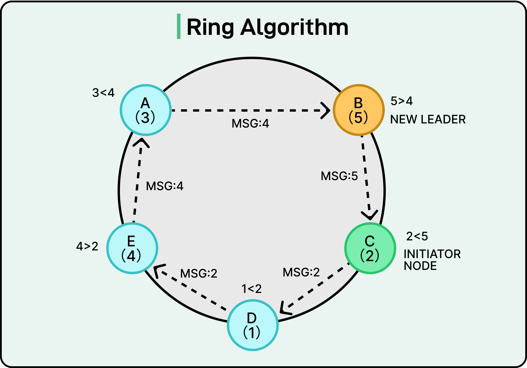 Top Leader Election Algorithms in Distributed Databases