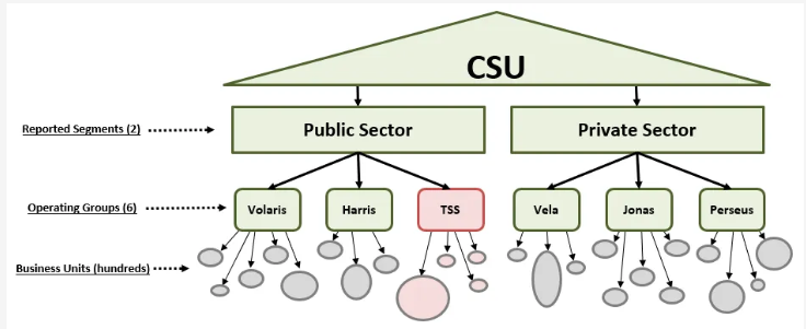 Constellation Software: The Art of Decentralized Acquisition
