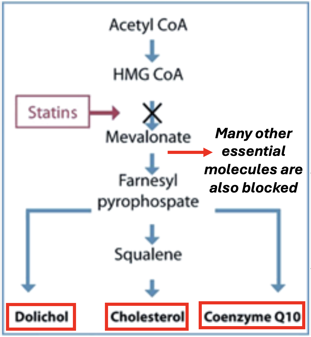 The Great Dangers of Statins - by A Midwestern Doctor