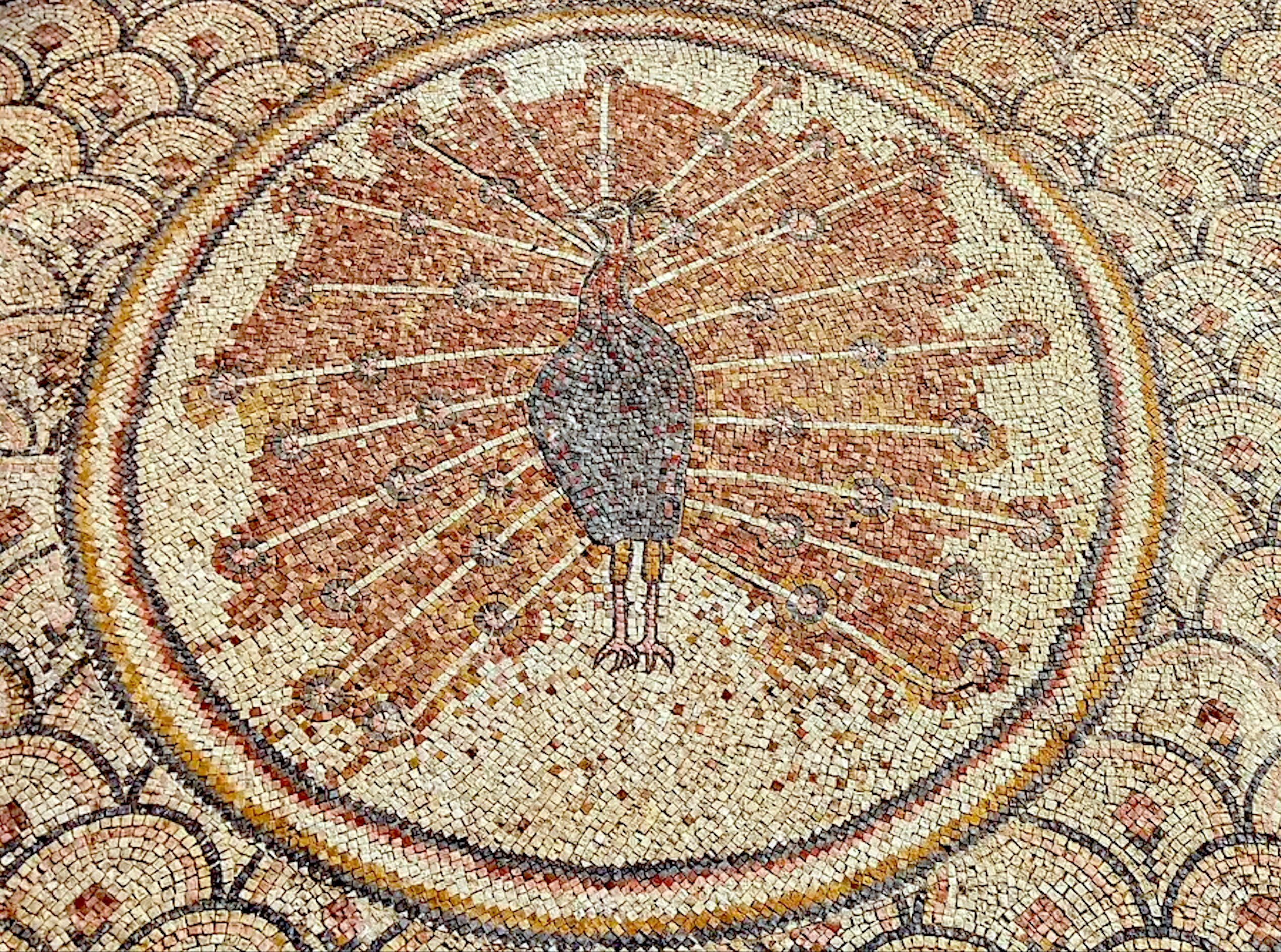 The Symbolic Meaning of the Peacock