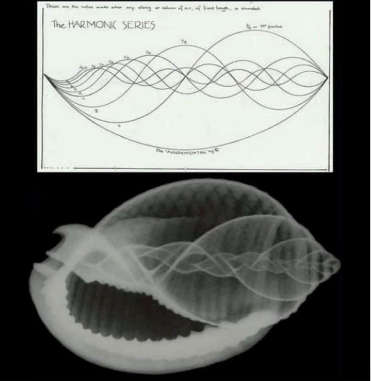 Tidal Pools and Water Marks - Free Finca