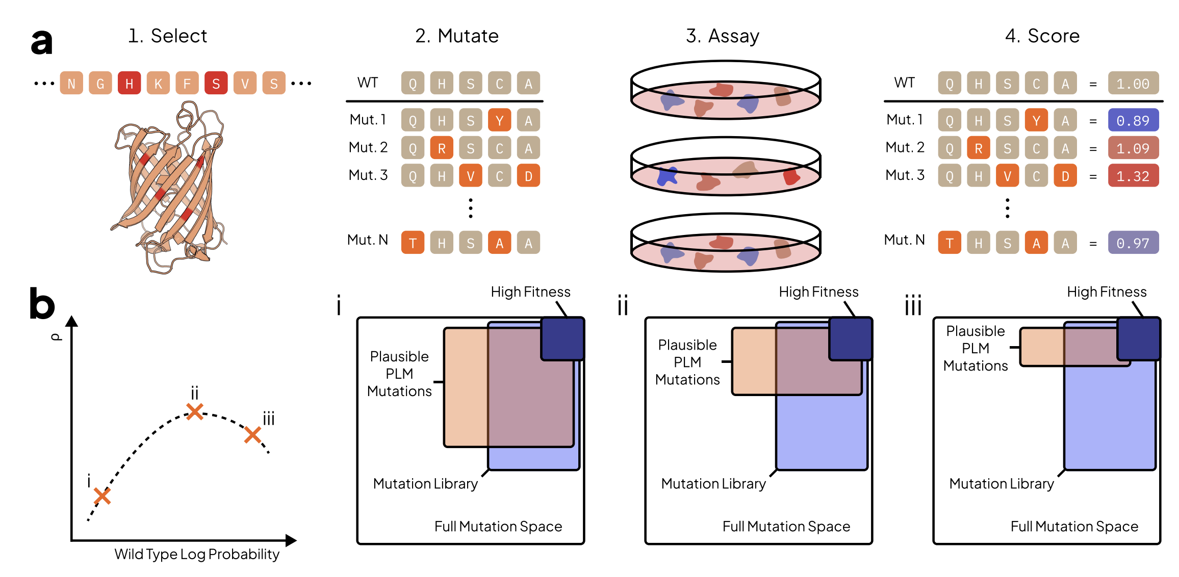Portal Weekly #65: protein design competition, one-shot design of ...