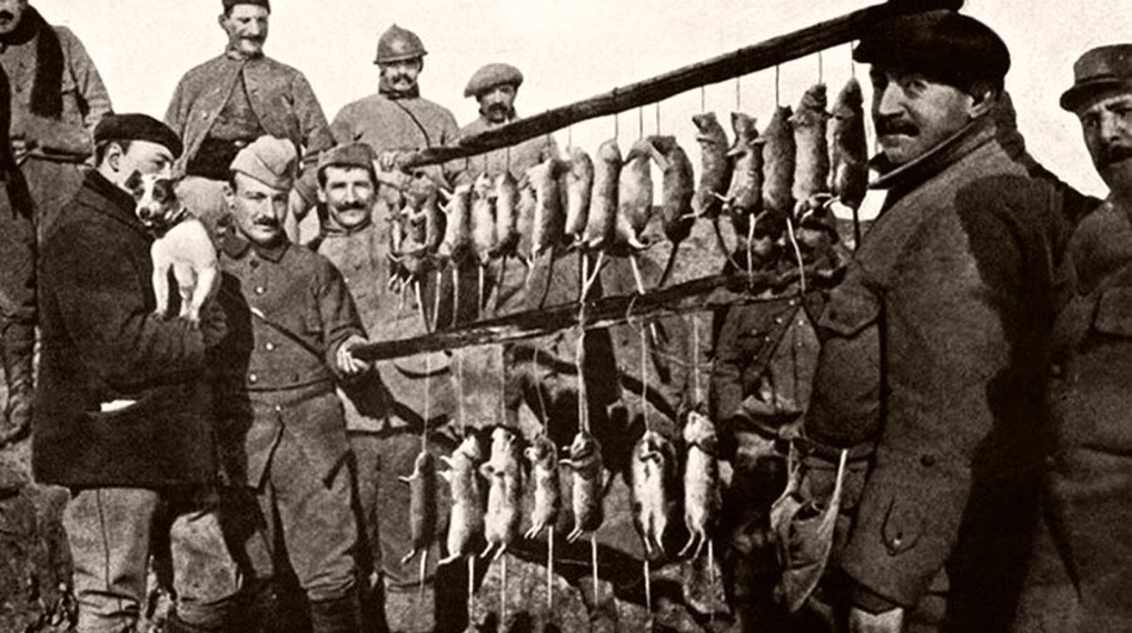 WW1 Soldier’s Life: Hardship and Survival in the Trenches