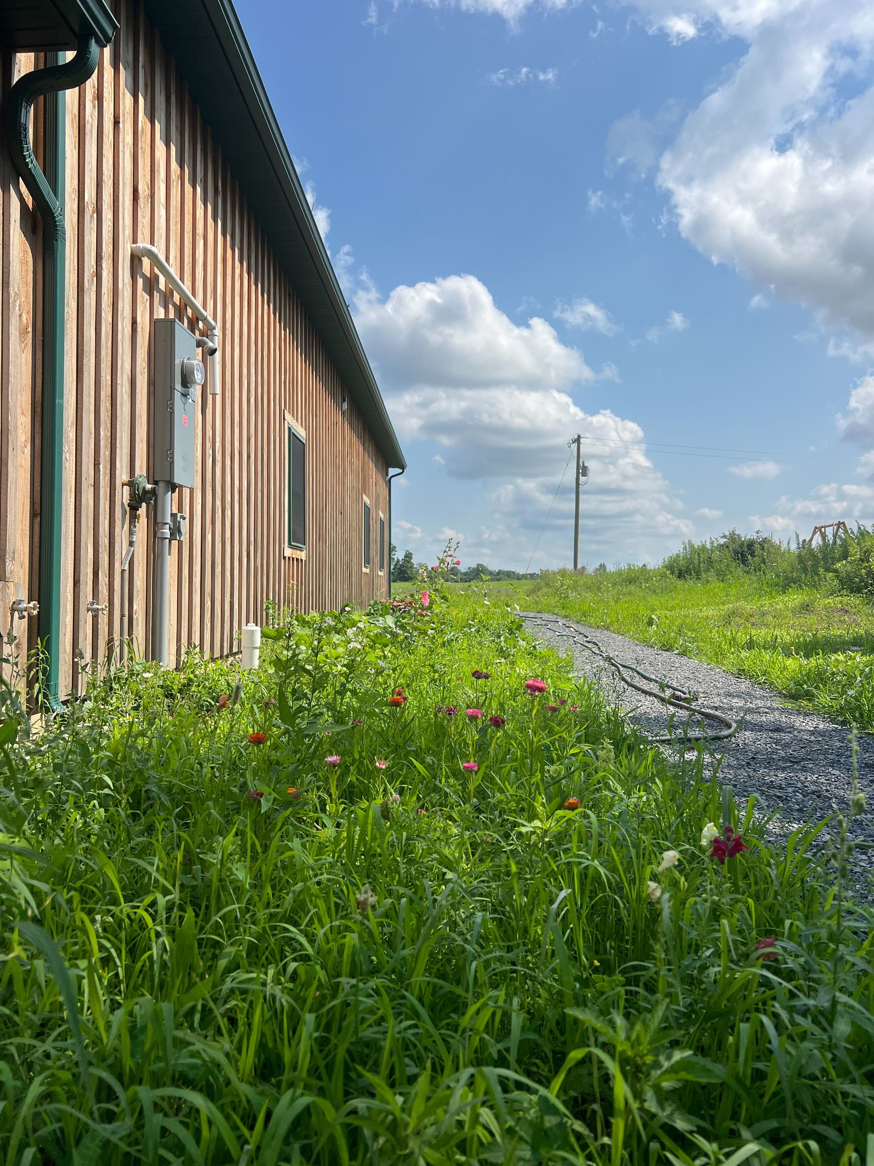 Buying land with a USDA loan: ALL of your different options, explained