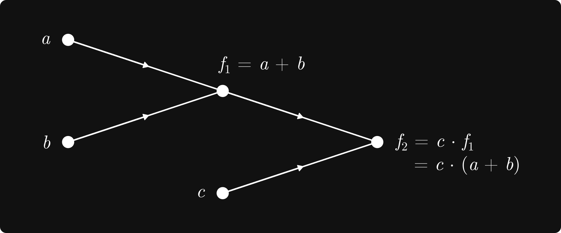 Introduction to Computational Graphs - by Tivadar Danka