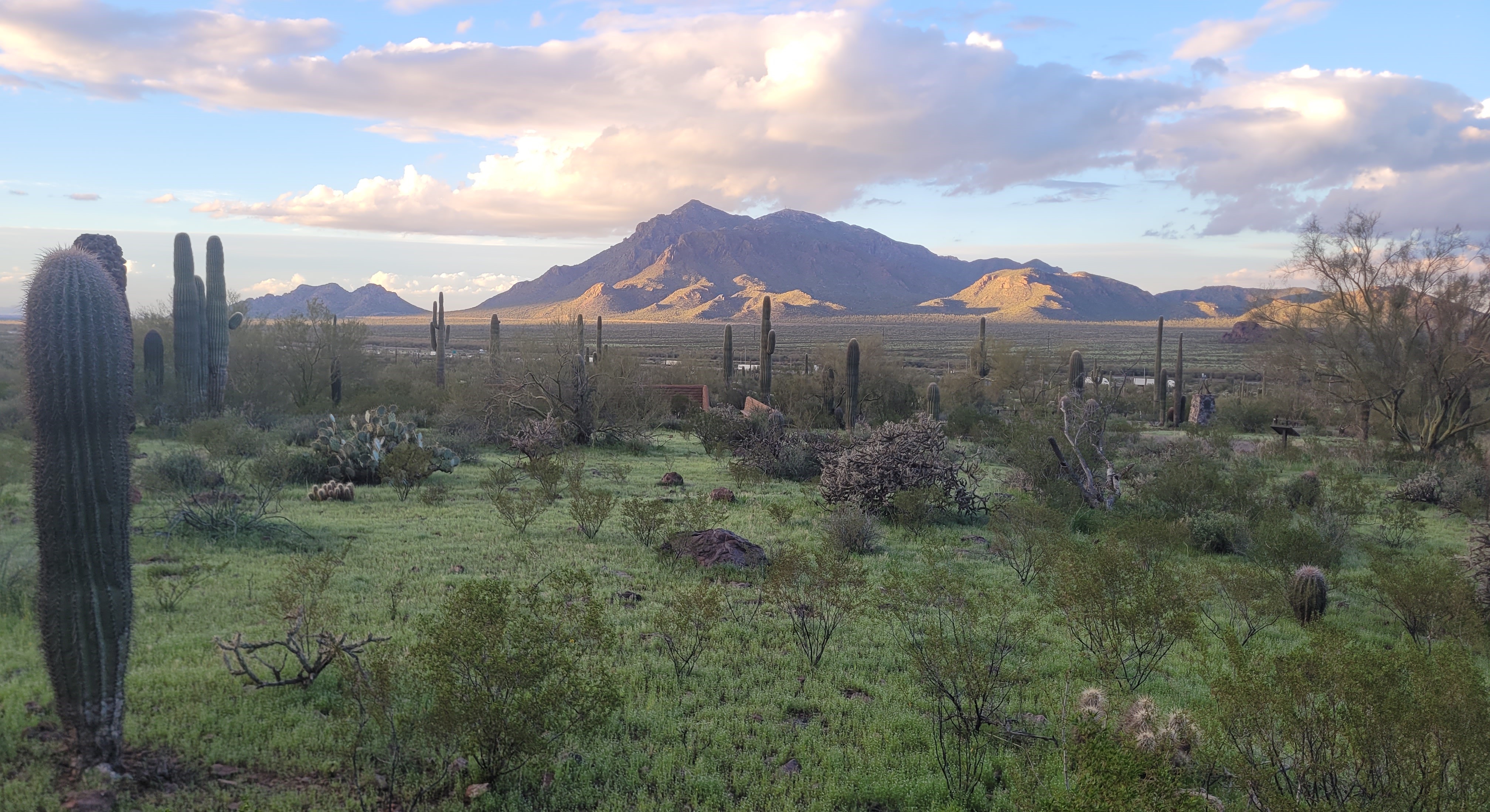 The Civil War in Confederate Arizona Territory