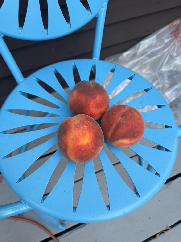 Jeannine Ouellette (@jeannineouellette): "Miracle Project | Monday Sept 8 My gratitude today? I ...