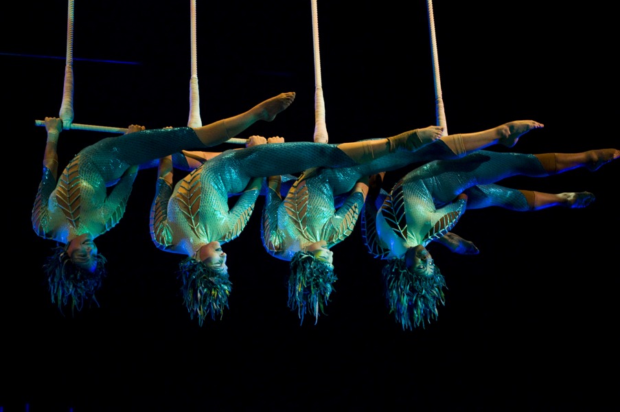 Cirque du Soleil: How a Group of Quebec Street Performers Reinvented ...