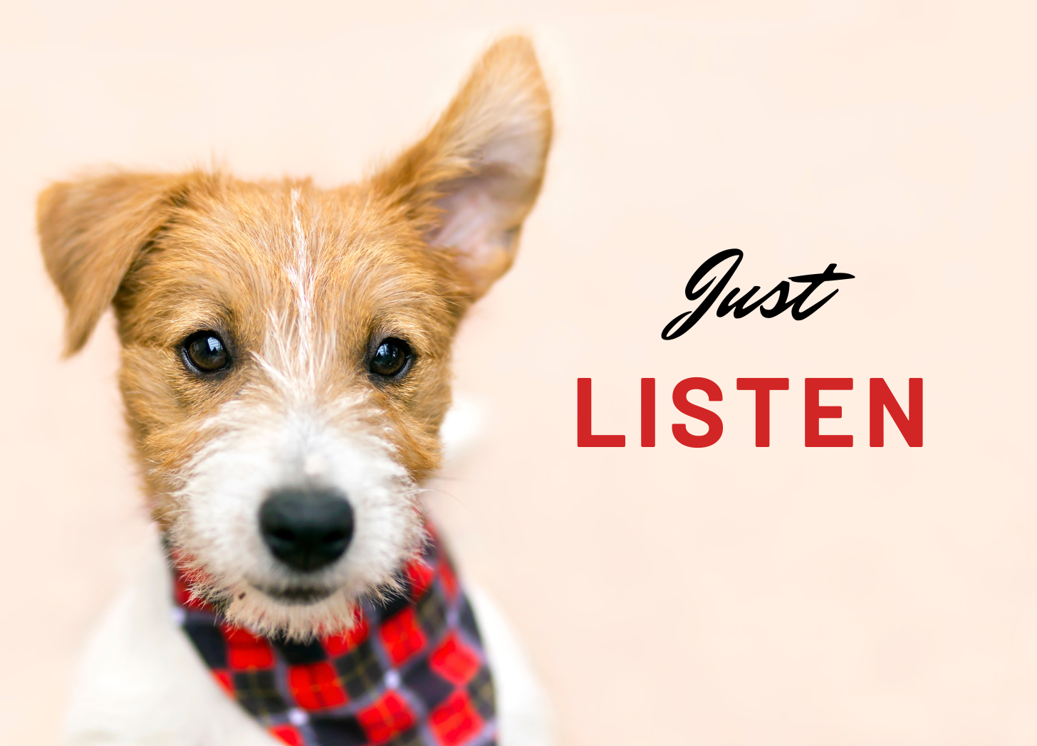 The Power of Listening to Understand, Not Respond