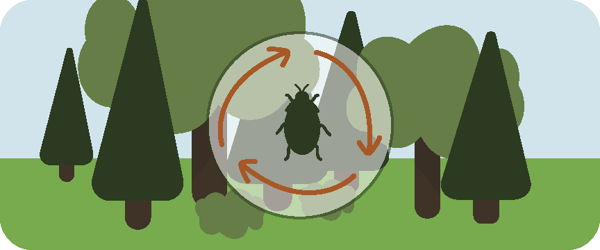 How Does Climate Change Affect Animals? A Complete Guide