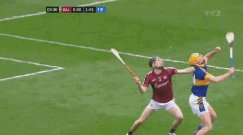 A History of Hurling - by Sean Hardies