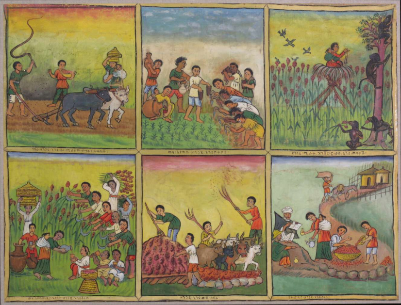 The invention of Agriculture in Africa: plant domestication and the ...