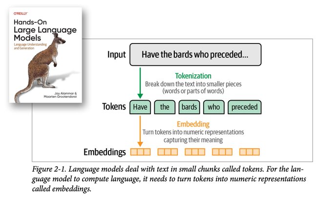 Our book, Hands-On Large Language Models, Is Now Out!