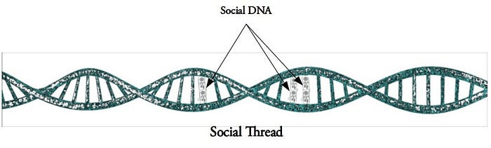 The Social Fabric - by Nigel Cohen