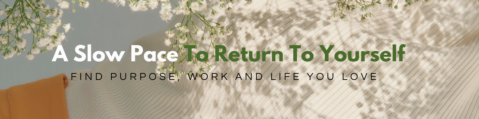 How to Use the New Substack Banner to Reflect Your Story (with 7 ...