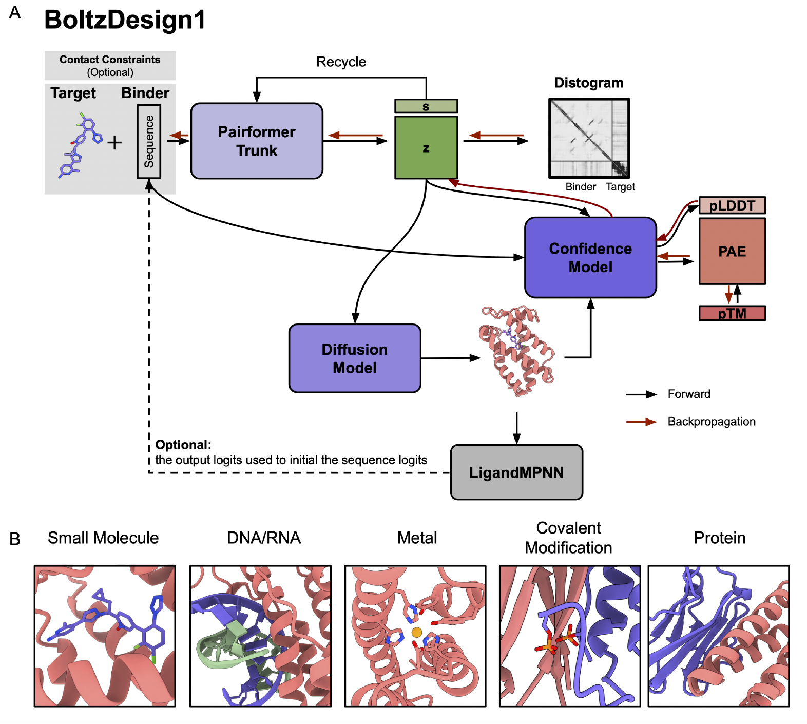 BoltzDesign1, RFdiffusion2, MedSAM2 🚀 - by Luke Yun