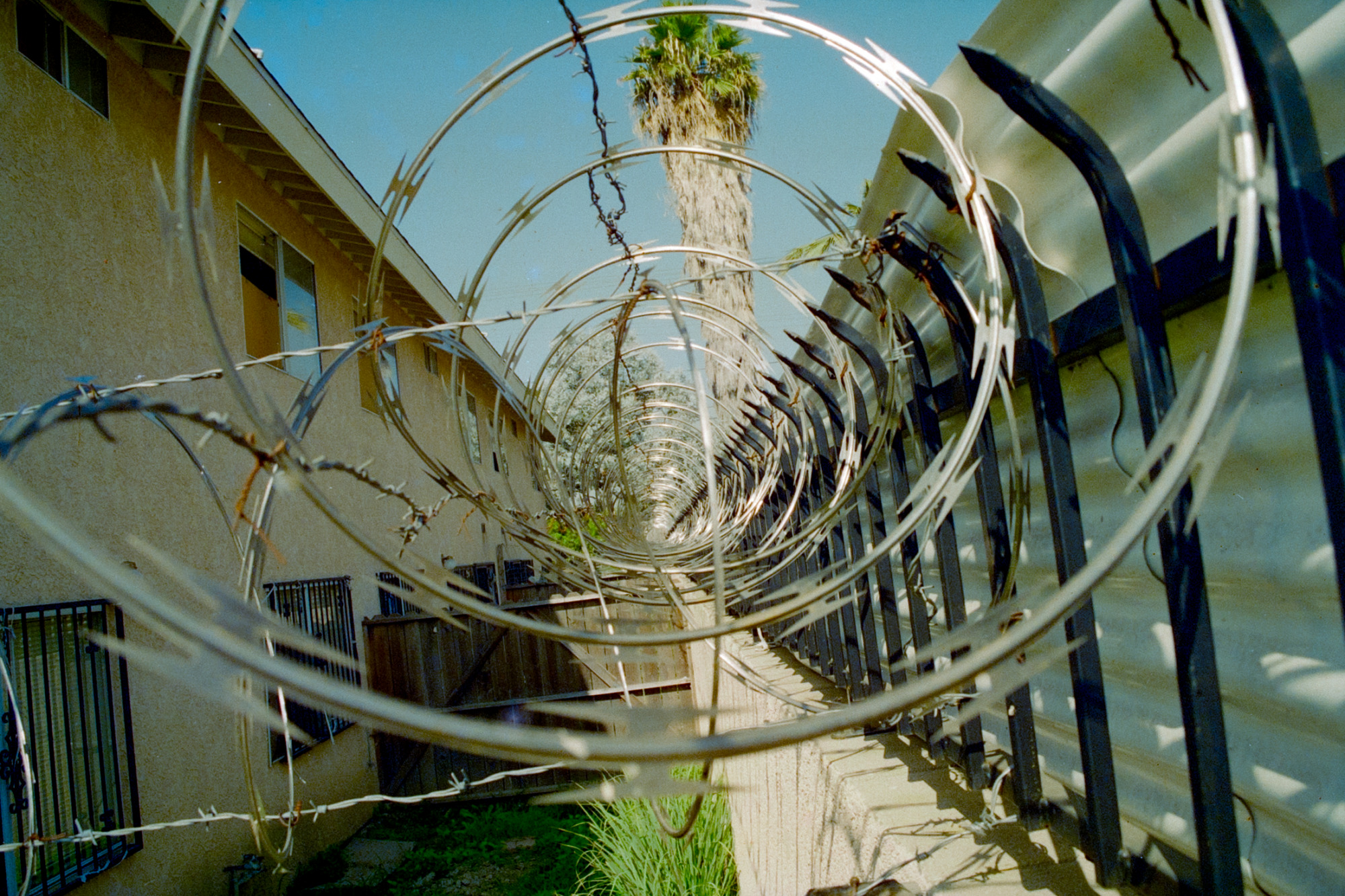 Deep Dive: Dairy Boy & Elwood